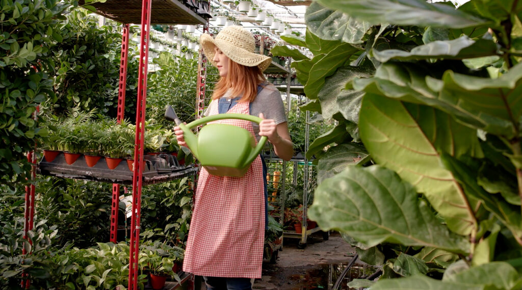 Print Plant Tags for Your Nurseries this Spring - SwiftColor